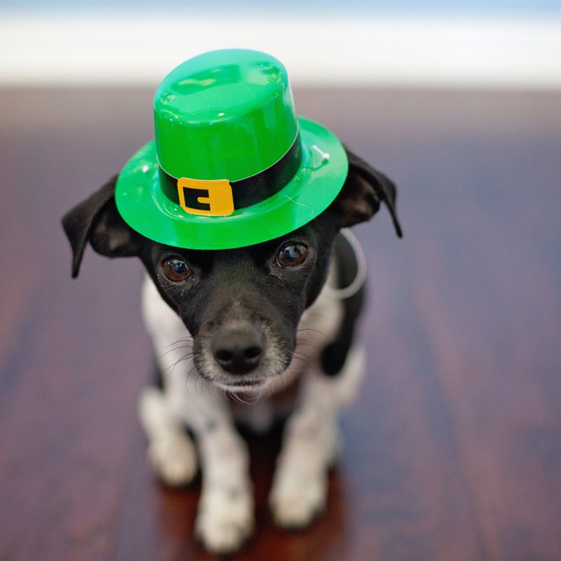 「問題」だけではないIssueの意味と使い方 | SPTR MEDIA